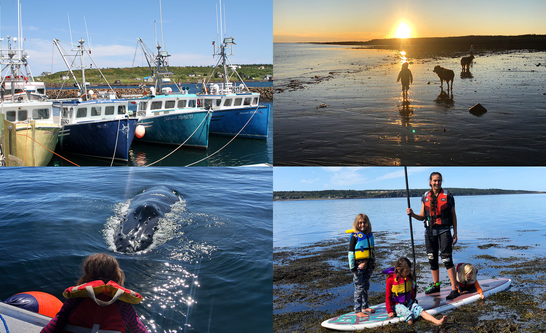 Collage of coastal images